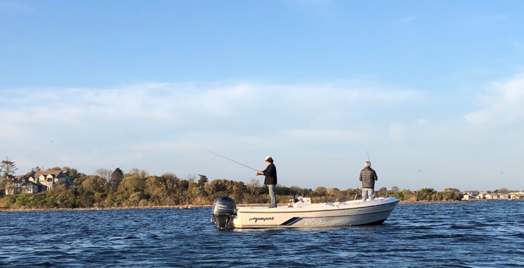 A 2020 Year in Review, Rhode Island Fishing | Fish Wrap Writer